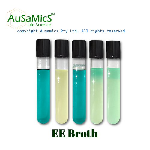 EE Broth, Mossel | AuSaMicS Australia