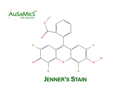 Jenner's Stain | AuSaMicS Australia