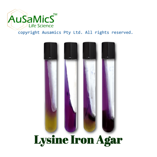 Lysine Iron Agar | AuSaMicS Australia