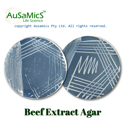 Beef Extract Agar | AuSaMicS Australia