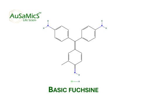 Basic Fuchsin | AuSaMicS Australia