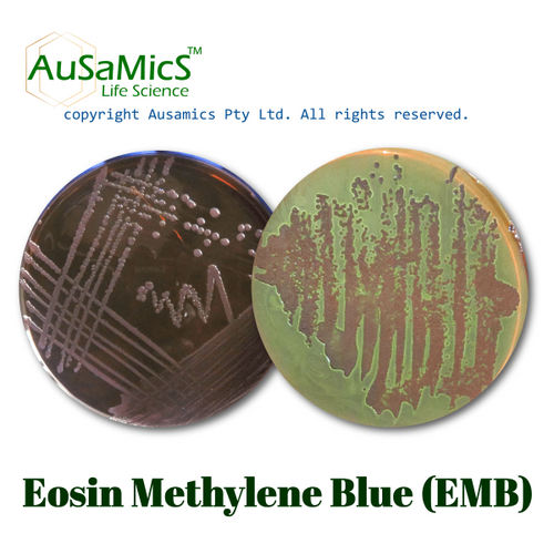 Eosin Methylene Blue Agar, EMB | AuSaMicS Australia