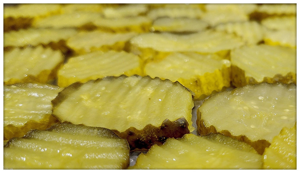 Freeze Dried Dill Pickles | Rebel Farms