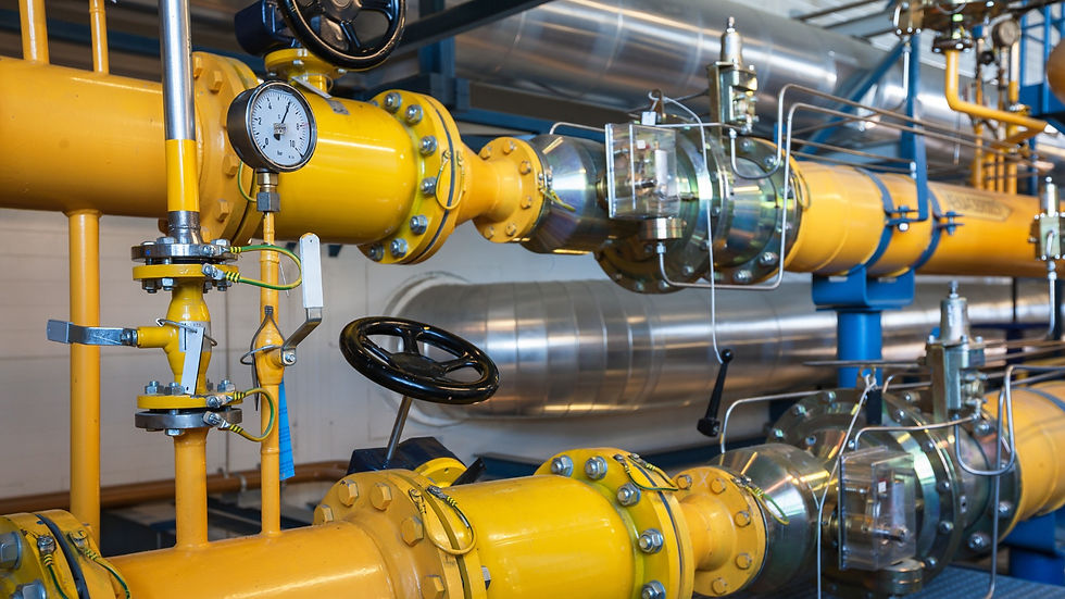 Inficon Perú - Detectores de Fuga de Gas | Dieselmotoren Perú