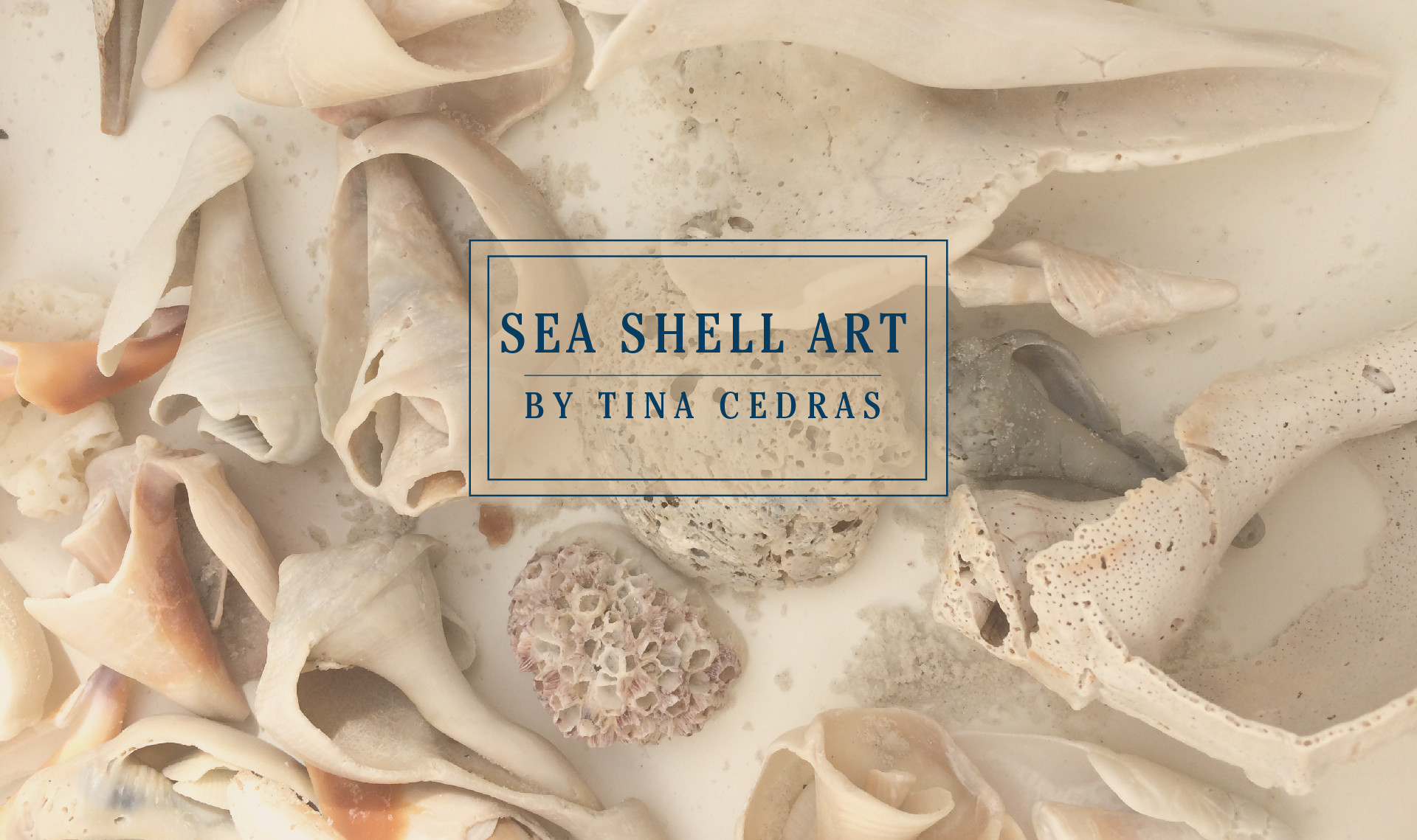 Shell Art | Sea Shell Art by Tina Cedras