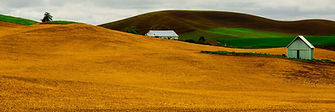 Wildfire Resiliency | Palouse Conservation District | Pullman, WA