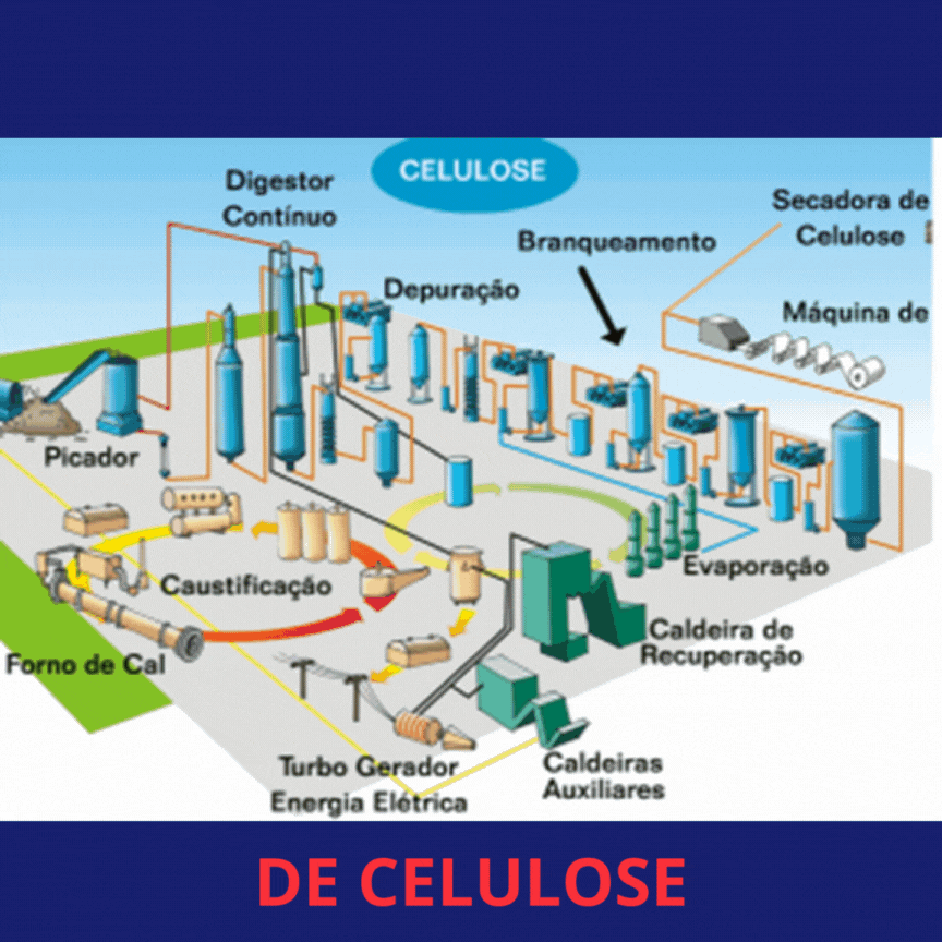 Engecia - Postagem: Matéria Prima para Fabricação de Celulose