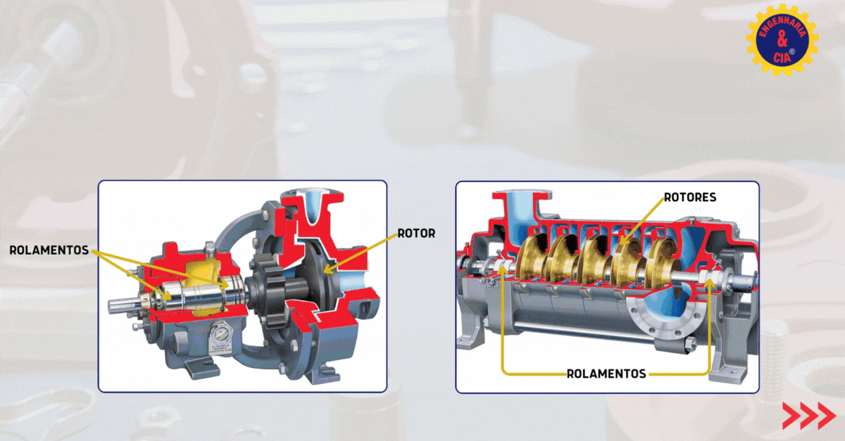 Bomba Centrífuga Gif