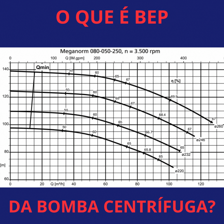 Engecia - Postagem: O Que é BEP de Uma Bomba Centrífuga e a Sua Importância.