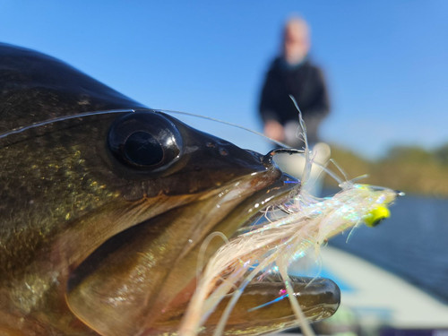 All Products | Line Keeper