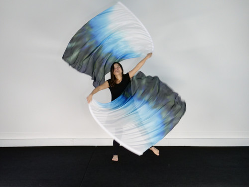 Large Size // Seeing the Unseen // Silk Flags (Set of 2) | CALLEDtoFlag