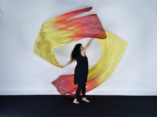 Extra Long // Reflecting Glory // Silk Flag(s) - from $135 | CALLEDtoFlag