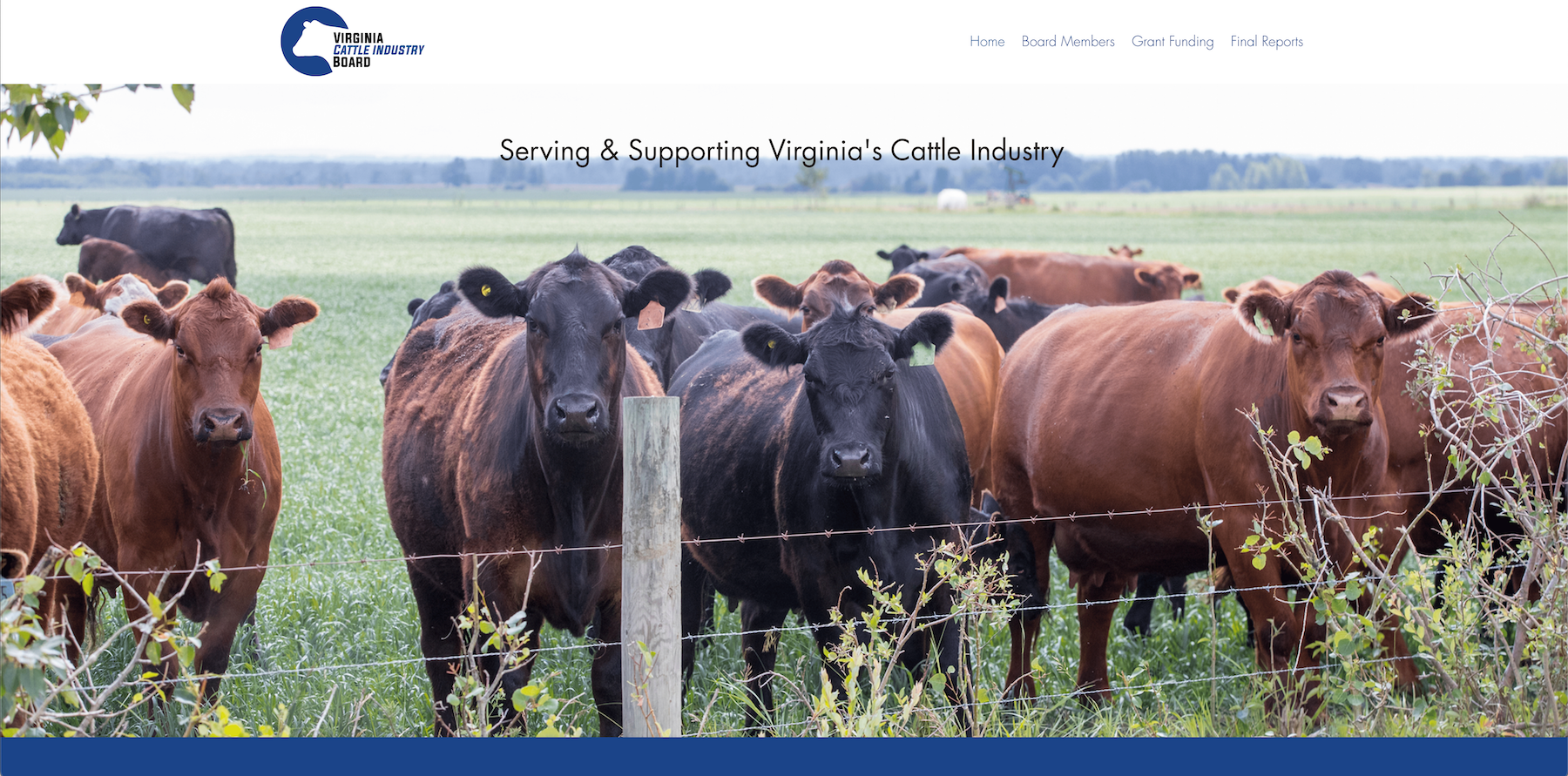 Final Reports | The Virginia Cattle Industry Board