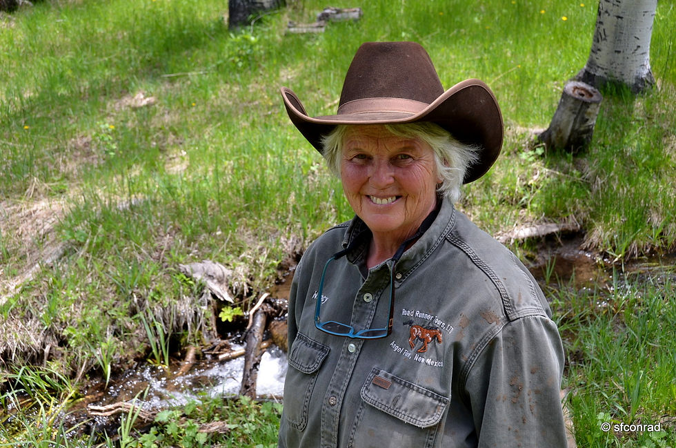 Roadrunner Tours | Angel Fire | Taos | Red River