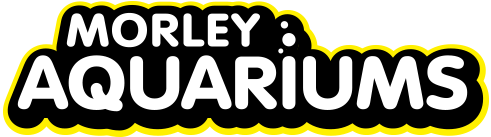 Aquarium Shop Perth | Morley Aquariums the Cichlid Specialists