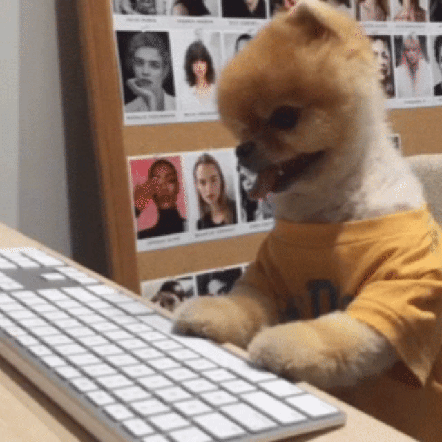 Hond Computer Gif Gniesbert, The Computer Intruder : R/Bossfight