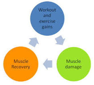 5 Ways to Faster Muscle Recovery