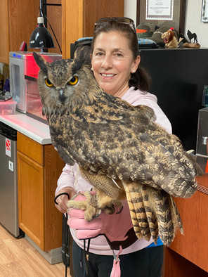 Tours & Events | Vision Quest Ranch | Salinas, CA