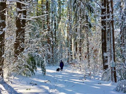 Groton Visitor Center