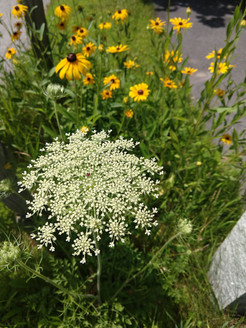 Groton Visitor Center