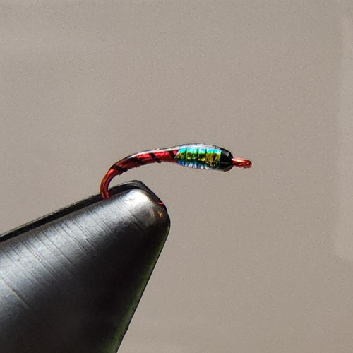 Tiger Blood Worm | Theparachutemadam