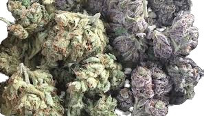 Mid Hybrid | Paper & Grabba