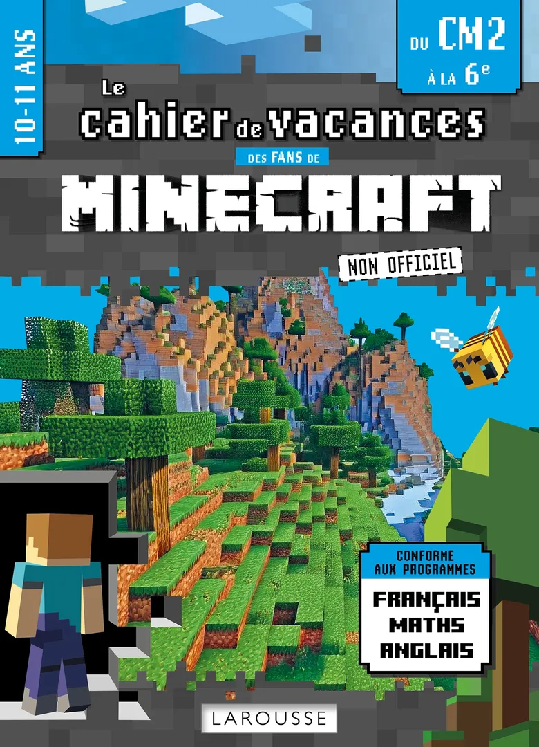 MINECRAFT FANS - SUMMER WORKBOOK FROM GRADE 5 TO GRADE 6