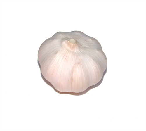 Garlic Chinese bulb | Veg Express