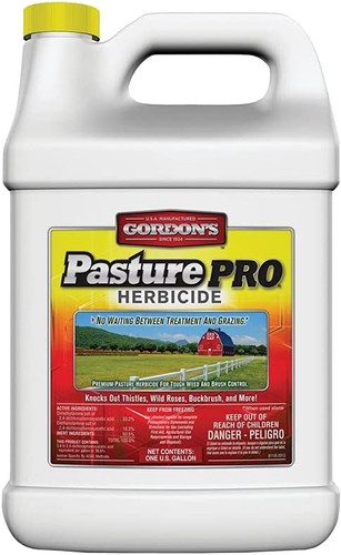 Gordon's Pasture Pro 1 Gallon Concentrate | rockin-e