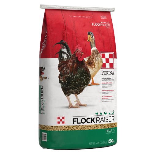 Purina Flock Raiser Crumbles 20% Protein | rockin-e