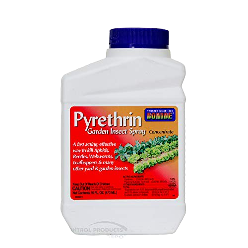 Bonide Pyrethrin Garden Insect Spray Concentrate 16oz | rockin-e