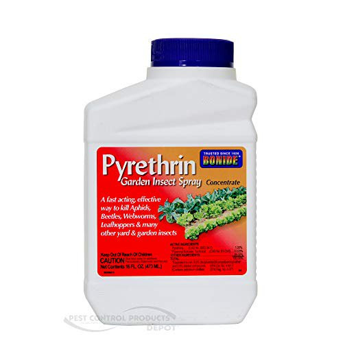 Bonide Pyrethrin Garden Insect Spray Concentrate 16oz | rockin-e