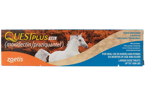 Quest Plus Gel Horse Dewormer & Boticide (including tapeworms) | rockin-e