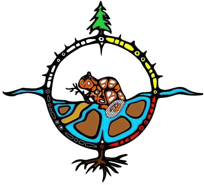 Amikwa Progress Report