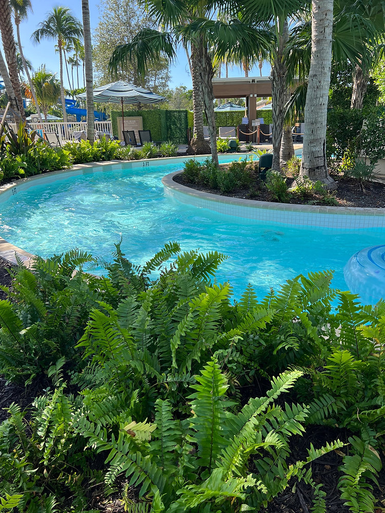 Hyatt Regency Coconut Place - A Top Family Resort in Florida with Lazy River and Waterslides