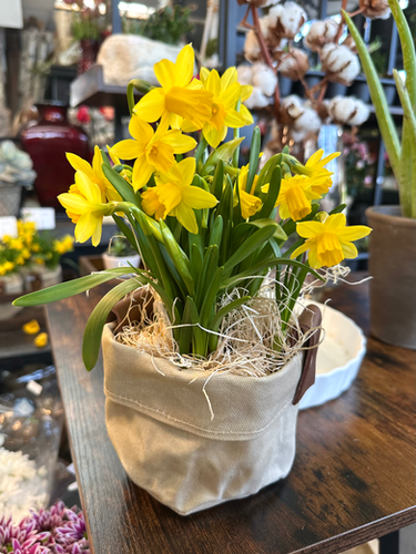 4” Mini Daff Bag | AllSeasonCountryFarm