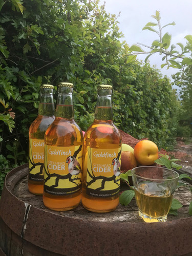 Goldfinch Cider | Steilhead Cider