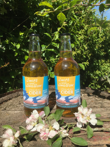 Swift and Swallow Cider | Steilhead Cider