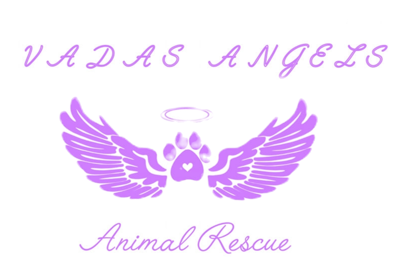 Welcome to Vada's Angels Dog Rescue - Get Involved Today!