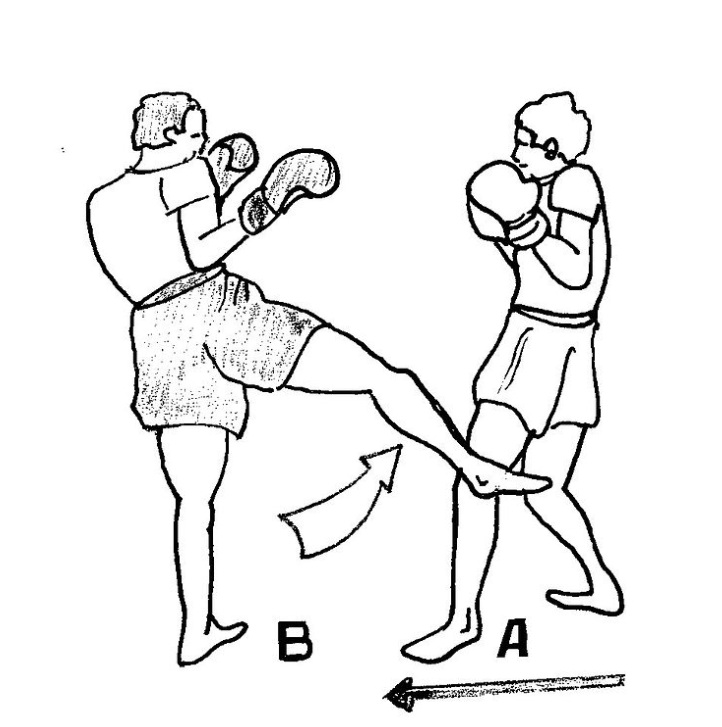 Nombres de patadas básicas de Kick Boxing