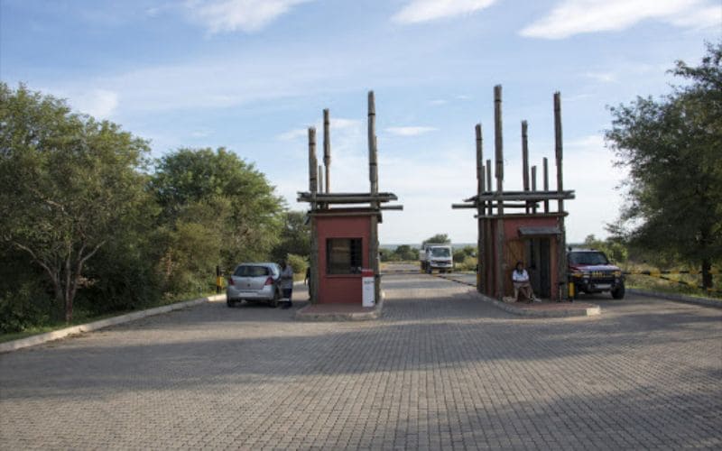 Post | Nhongo Safaris