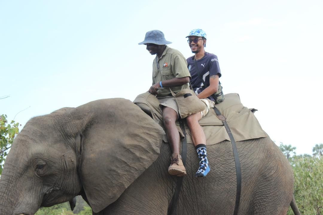 Elephant Interaction Tour