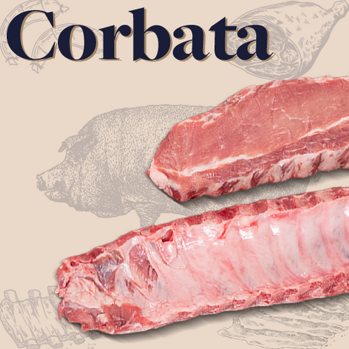 Corbata Importada | Pza. Básica | Grupo D'Linaje