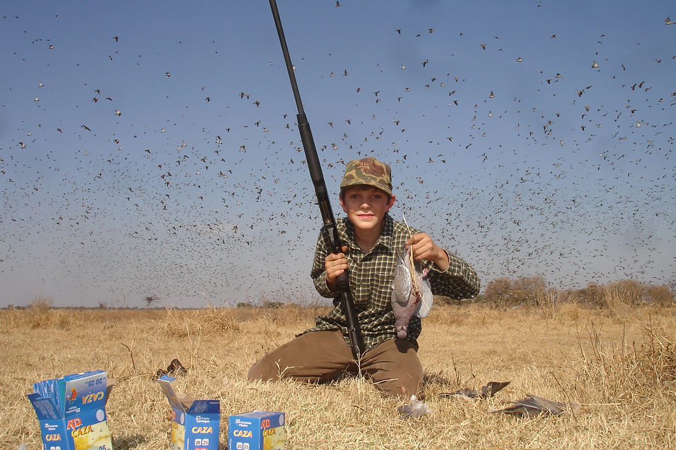 The Dove Roost Argentina | World Class Dove Hunting