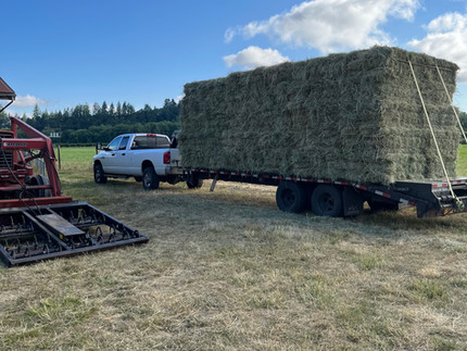 Hayway LLC | Hay Supplier