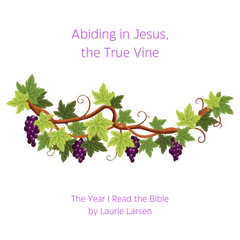 Abiding in Jesus, the True Vine