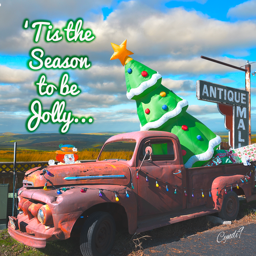 Jolly Truck | See 9 Pix