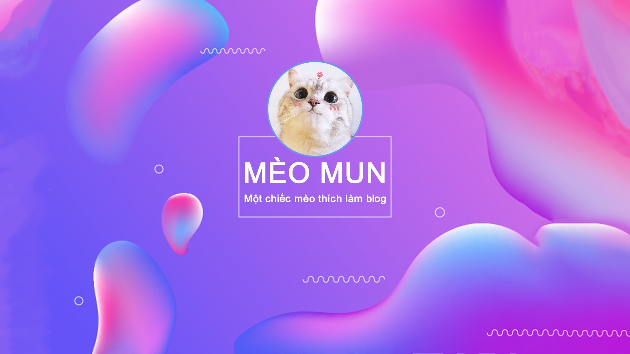 Mèo Mun | Blog của mèo đen!
