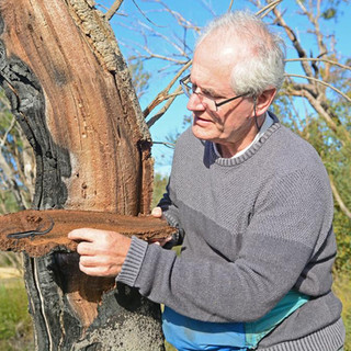 About David Knowles | Spineless Wonders