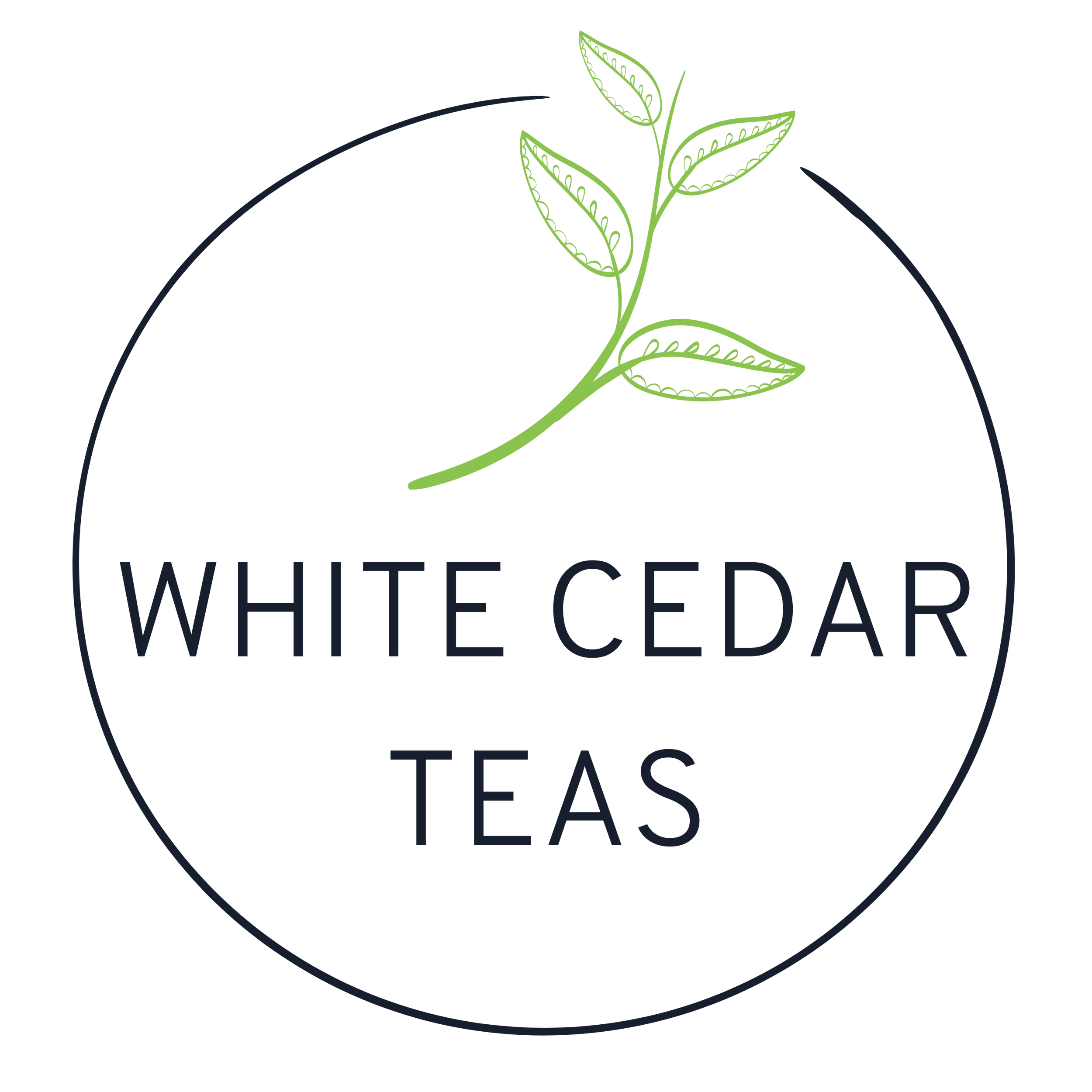 Home | White Cedar Teas